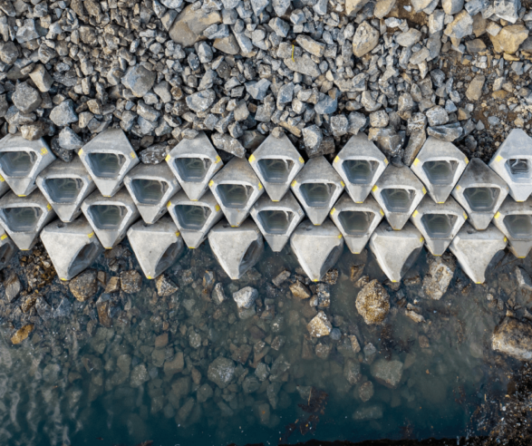 Biomimicry: Nature’s Lessons for Sustainable Infrastructure - ECOncrete