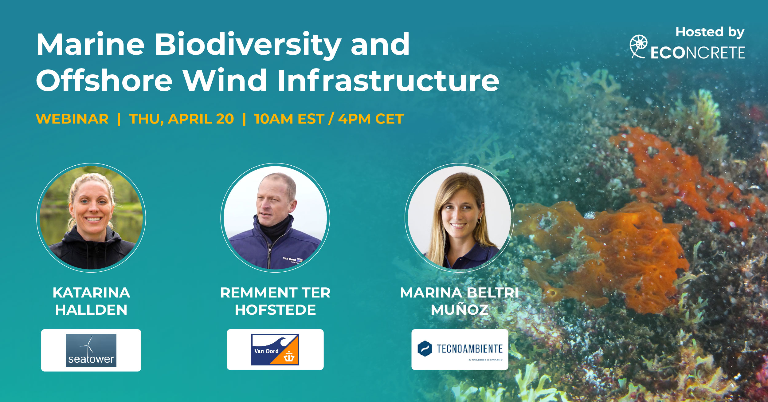 Webinar: Marine Biodiversity and Offshore Wind Infrastructure